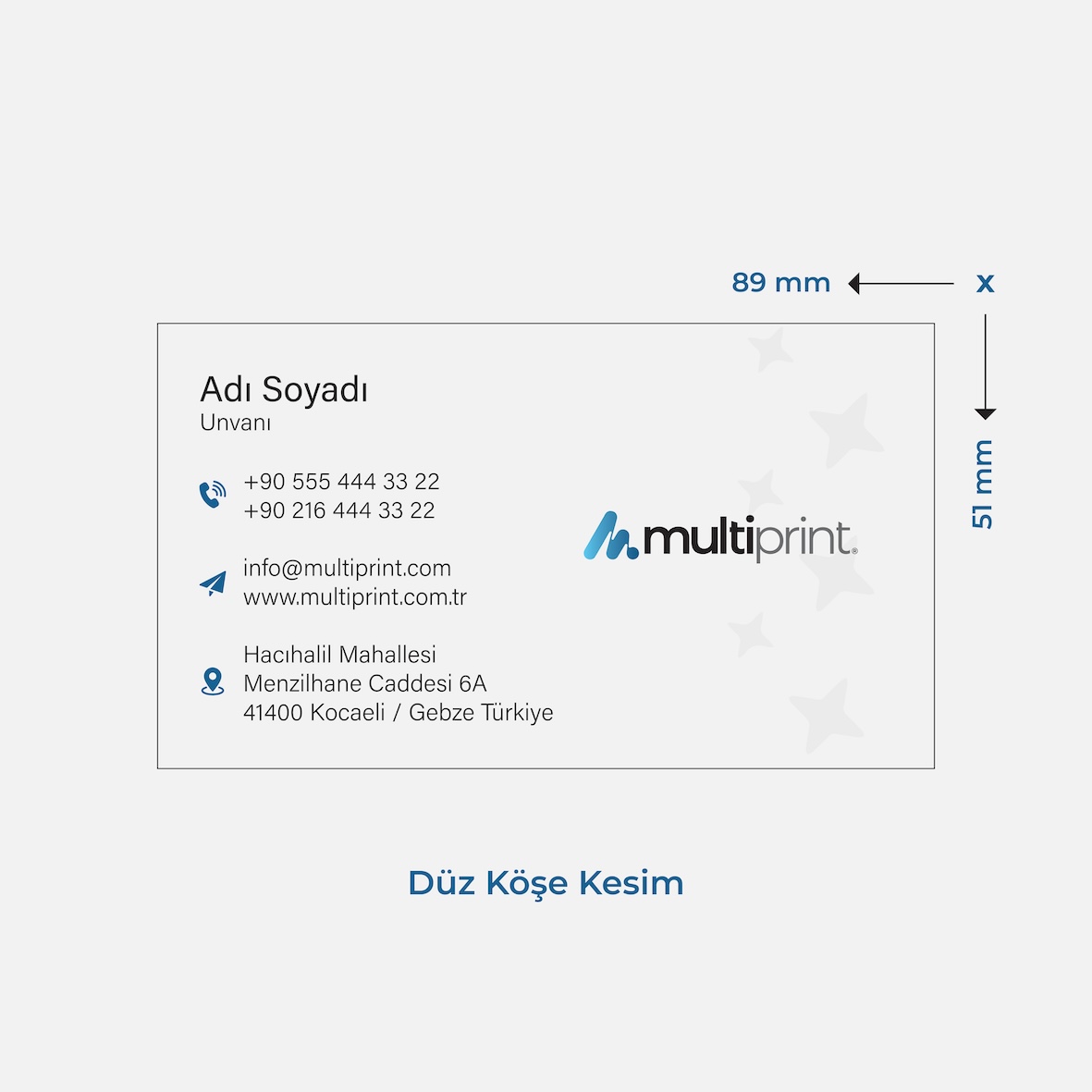 Standart Kartvizit - Multiprint